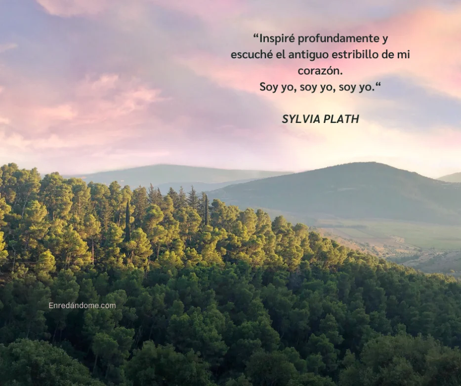 Sylvia Plath. Poemas, fragmentos y más.